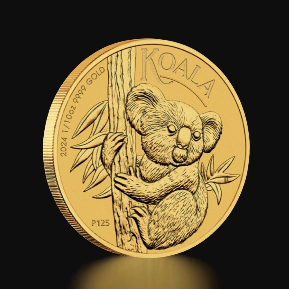 gold koala